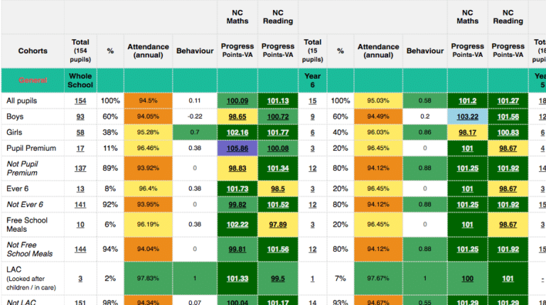 Cohort Report - Pupil Asset